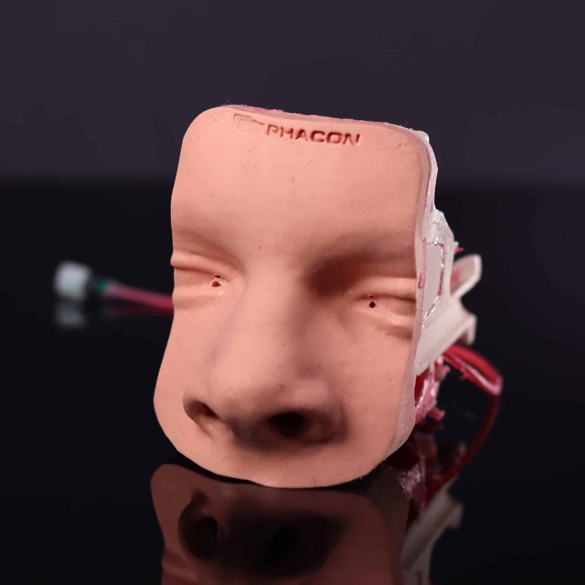 [SN-axp] PHACON Sinus Patient "Meyer" - Rhino, lacrimal sac, Polyps